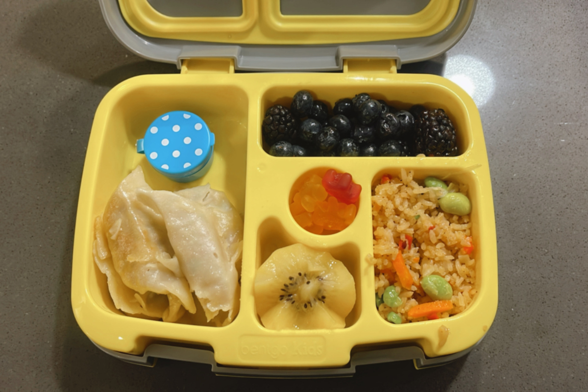 18 Easy Bento Box School Lunch Ideas For Toddlers Faith Matini 18-easy-bento-box-school-lunch-ideas-for-toddlers-faith-matini