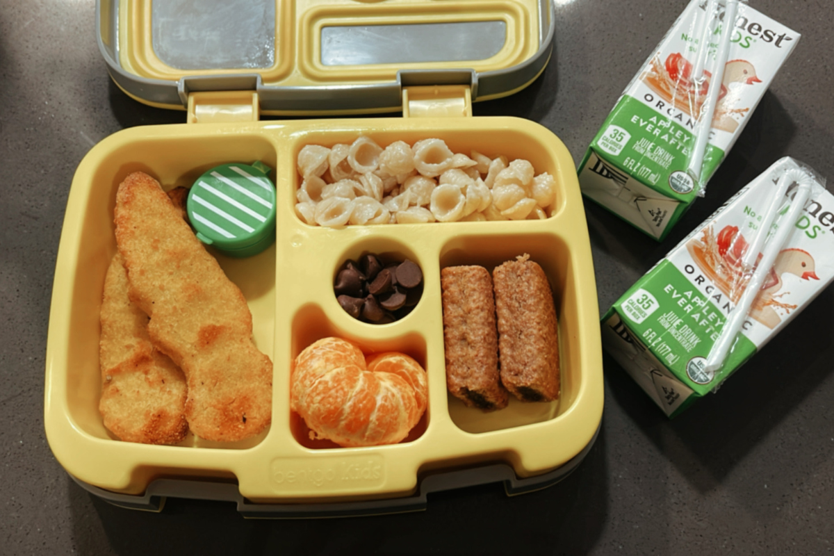 18 Easy Bento Box School Lunch Ideas for Toddlers - Faith Matini